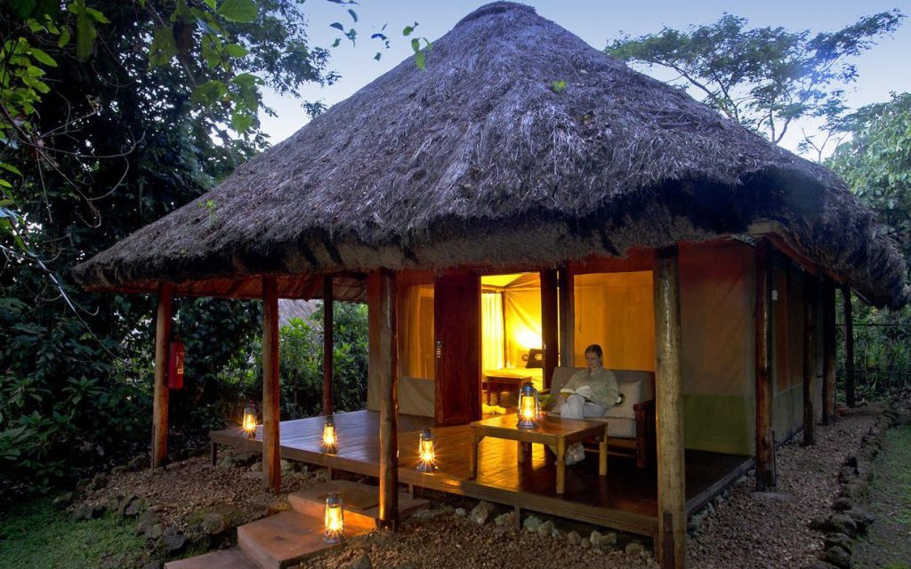 Sanctuary Gorilla Forest Camp – Safari Architects